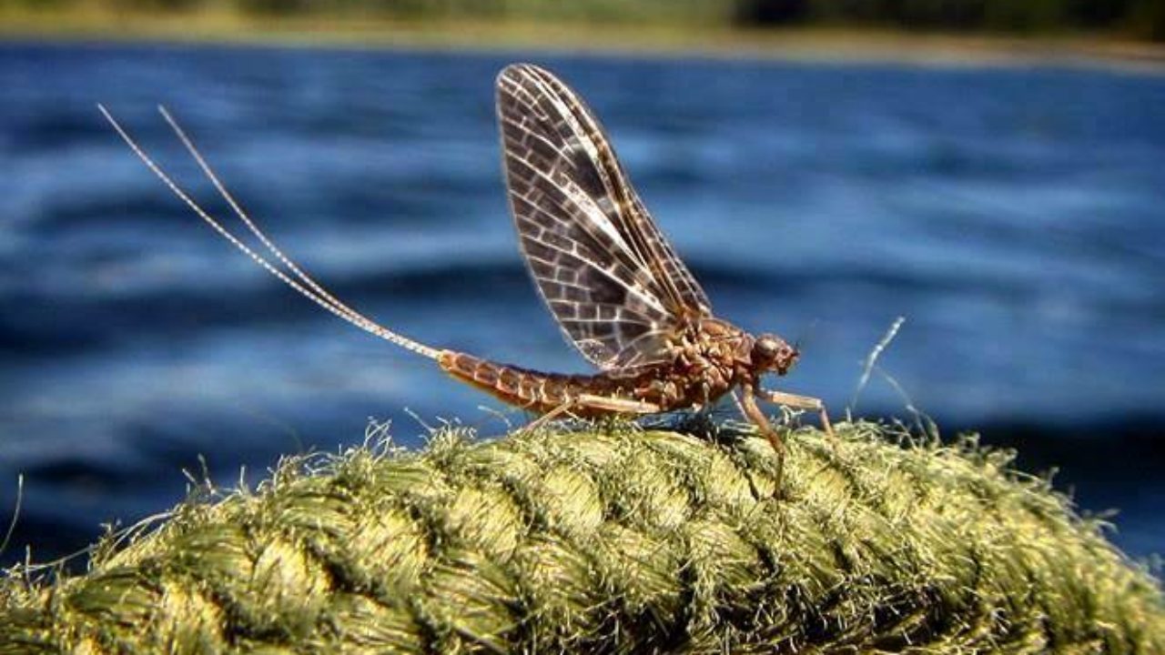 Do you have 5 minutes to invest into your next listing? - Yacht Sales ...